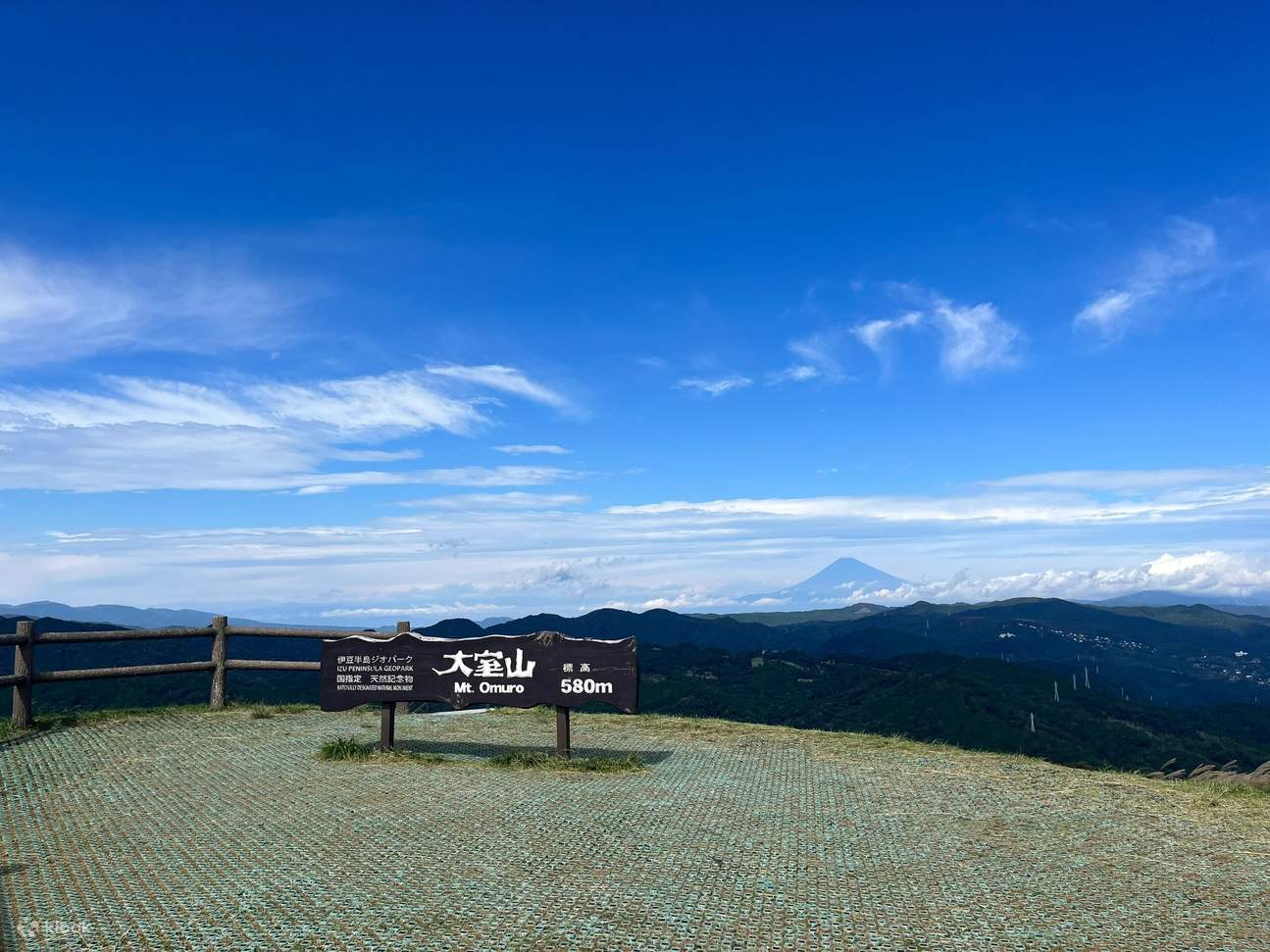 Hakone Izu Day Tour｜Hakone Shrine & Izu Cactus Zoo & Capybara Hot ...
